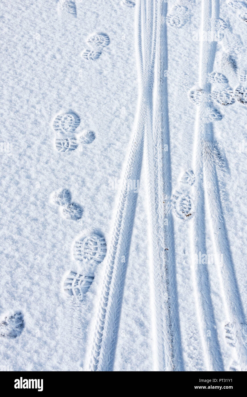 Prints in the snow hi-res stock photography and images - Alamy