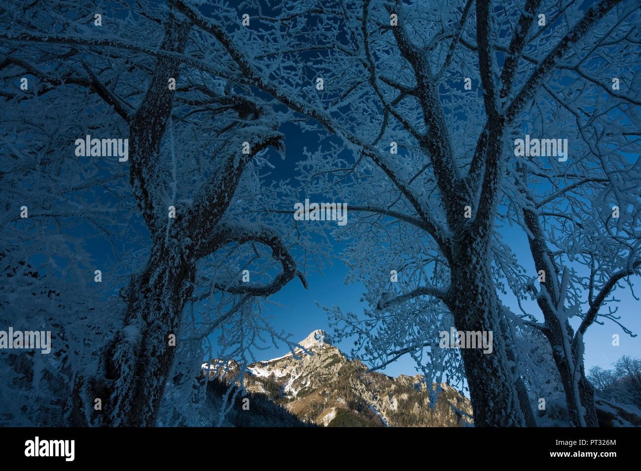 Winter landscape with snow-covered Reichenstein, Gesäuse National Park ...