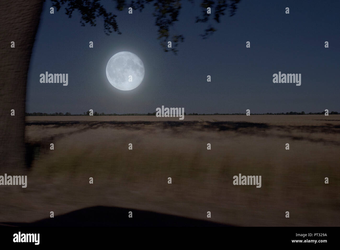 Full moon above field Stock Photo - Alamy