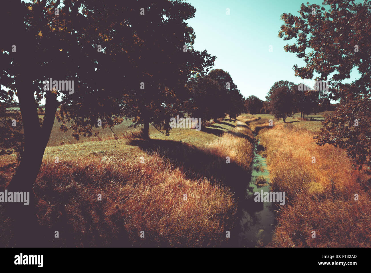 Small grass brook hi-res stock photography and images - Alamy