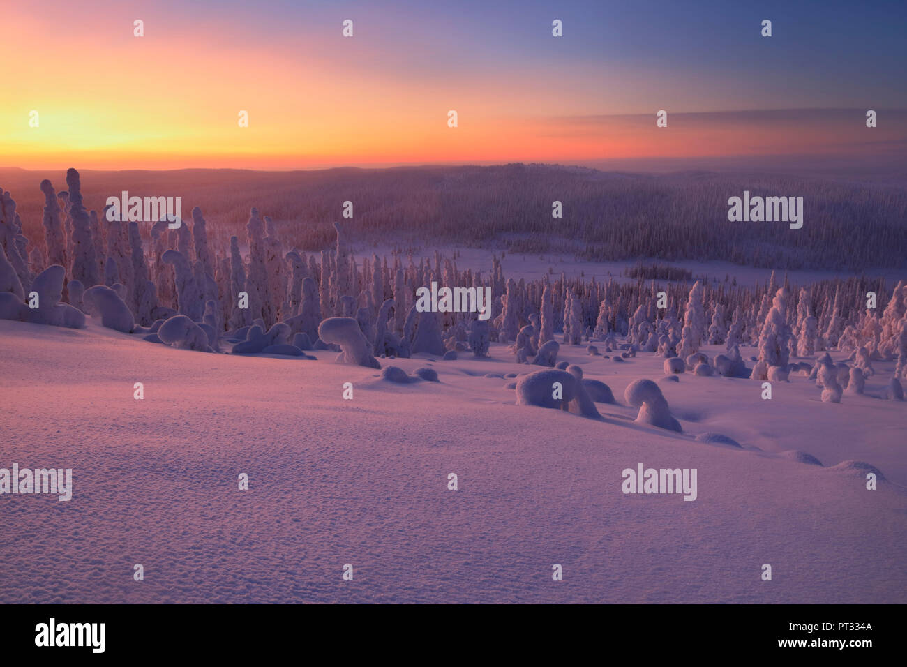Typical ice sculptures in the woods of Riisitunturi national park ...