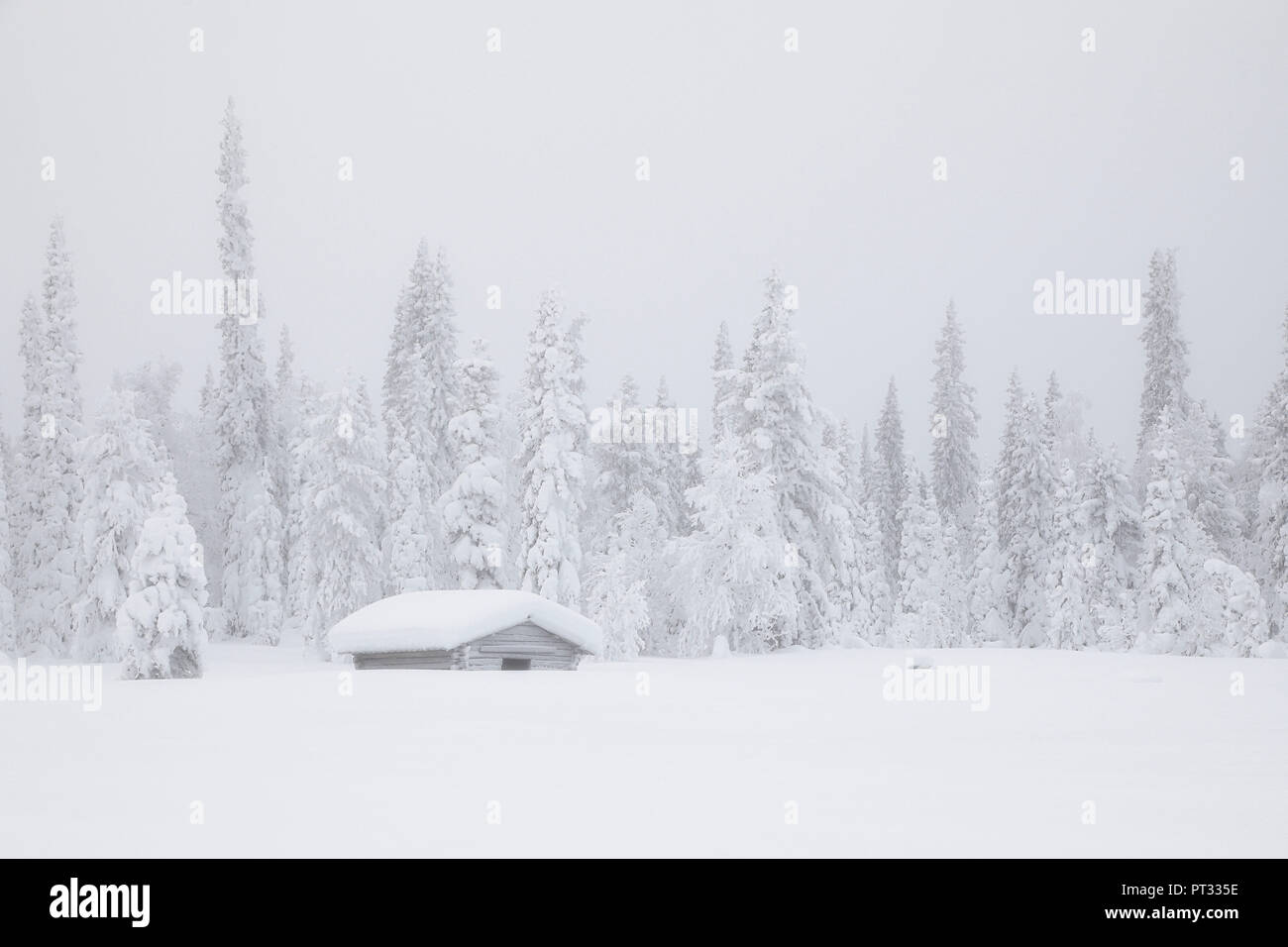 Isolated house hi-res stock photography and images - Alamy