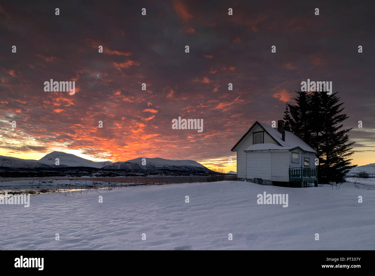 Isolated house hi-res stock photography and images - Alamy