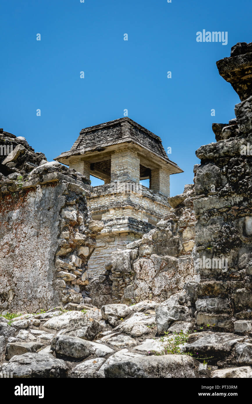Interior ruins of Palace structure at Palenque ruins, Mexico Stock ...