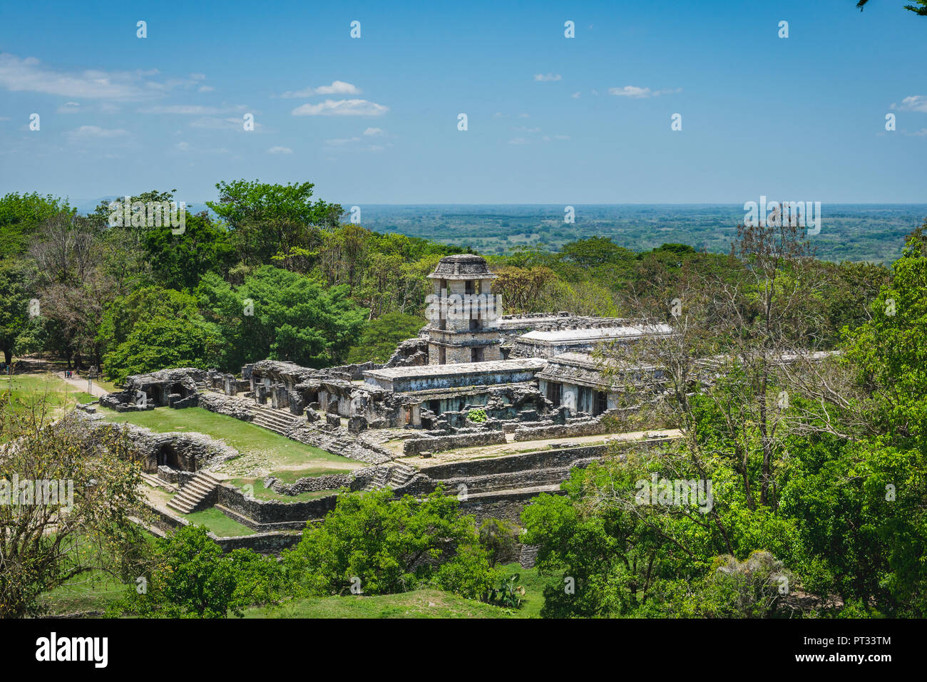 View over ruins of Palenque, Mexico Stock Photo - Alamy