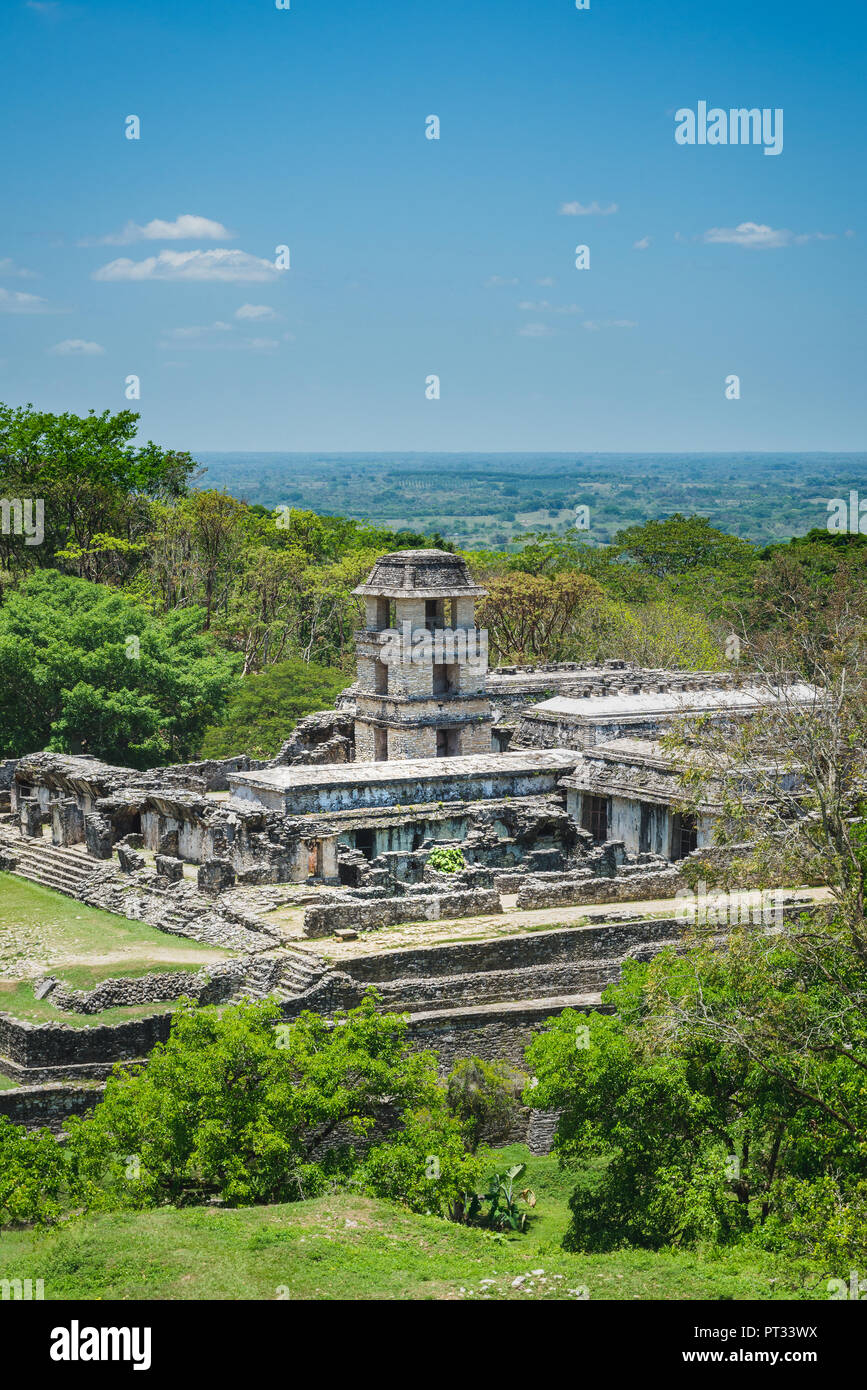 View over ruins of Palenque, Mexico Stock Photo - Alamy