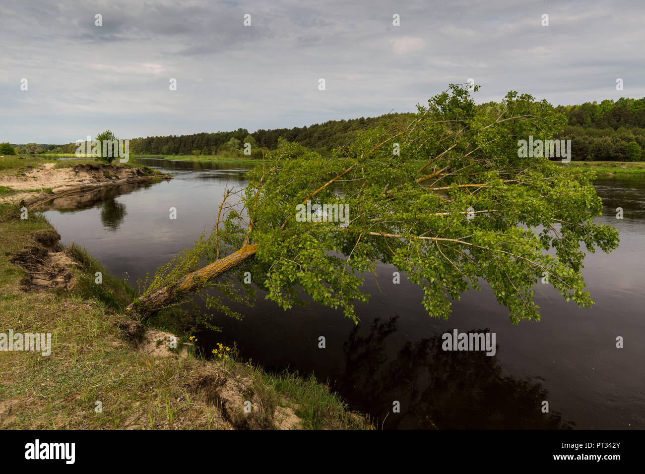 Bug river hi-res stock photography and images - Alamy
