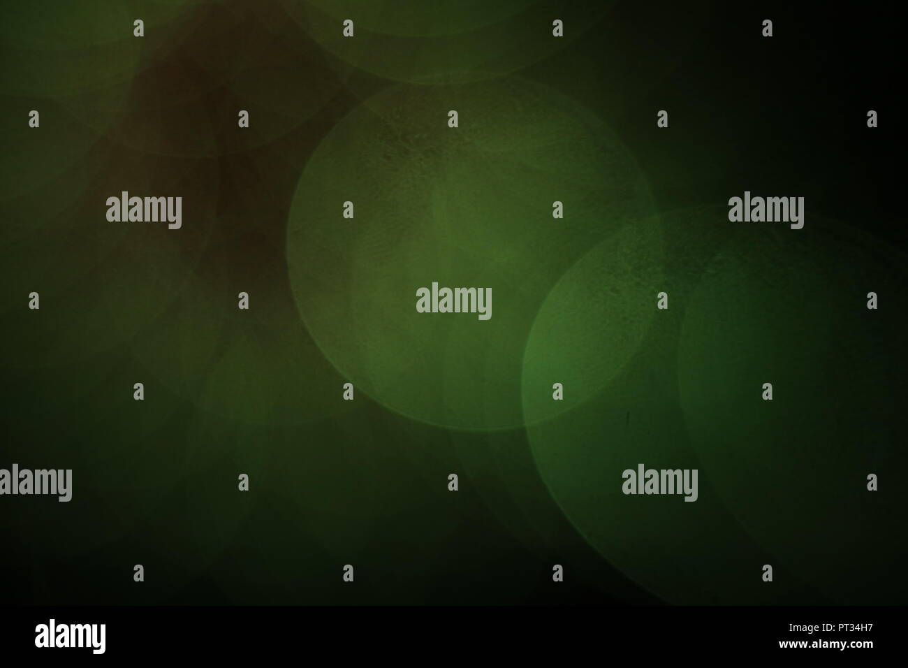 Muted green background hi-res stock photography and images - Alamy