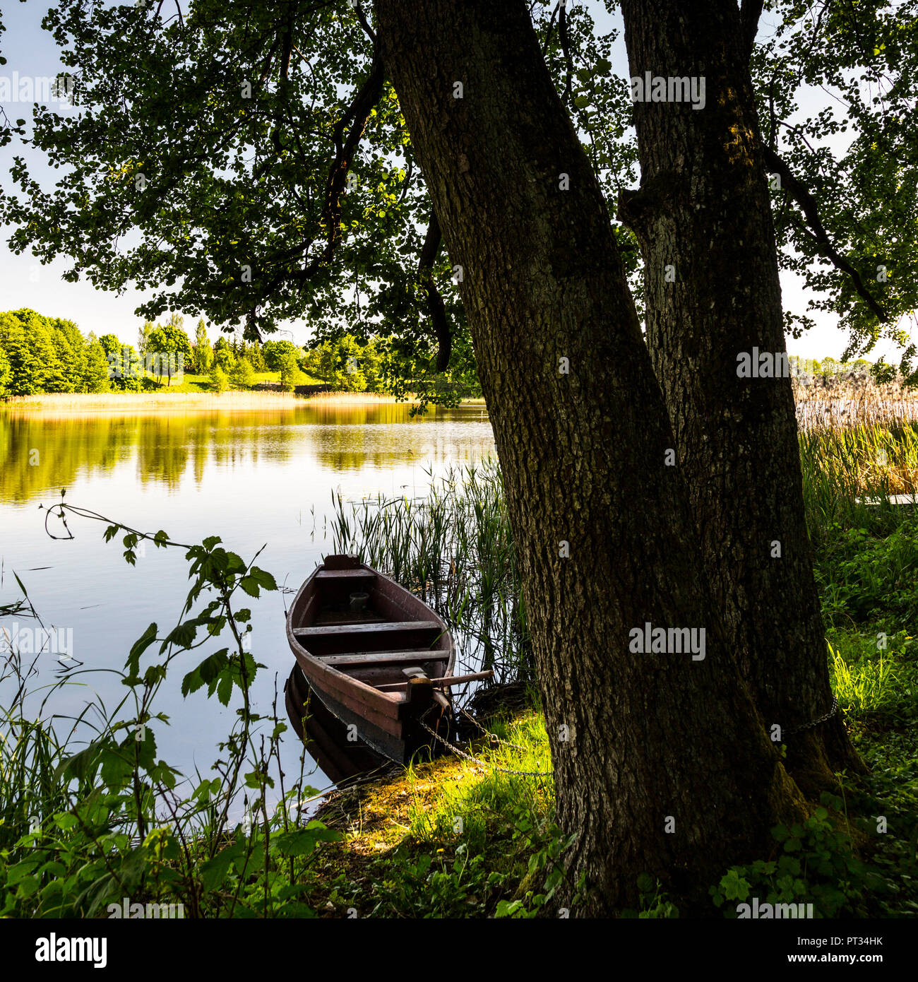 Lake punsk hi-res stock photography and images - Alamy