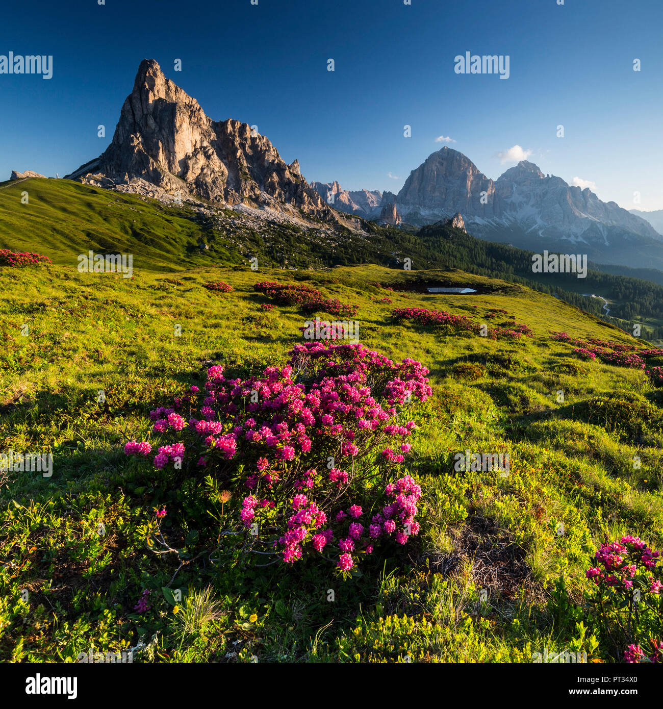 Europe, Italy, Alps, Dolomites, Mountains, Veneto, Belluno, Giau Pass ...