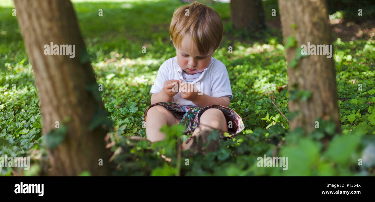 Learn About Trees High Resolution Stock Photography and Images - Alamy