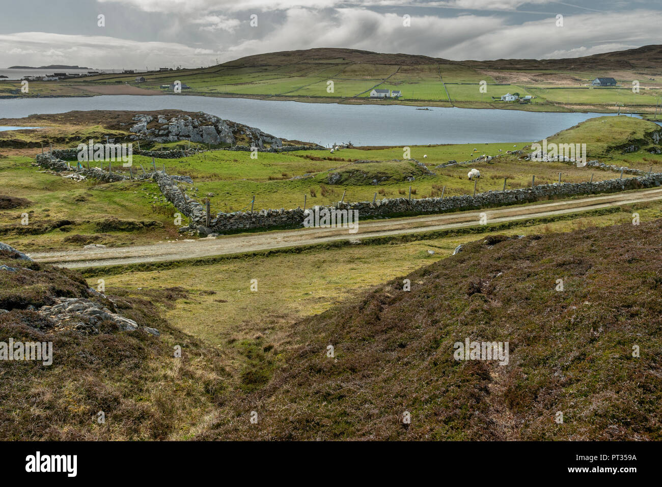 IRELAND, Connemara, Inishboffin island, Inis Bo Finne (Island of the ...