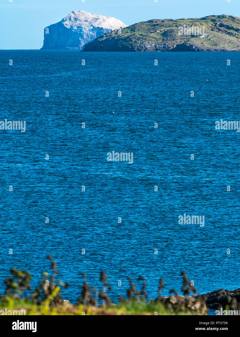 Bass rock hi-res stock photography and images - Alamy
