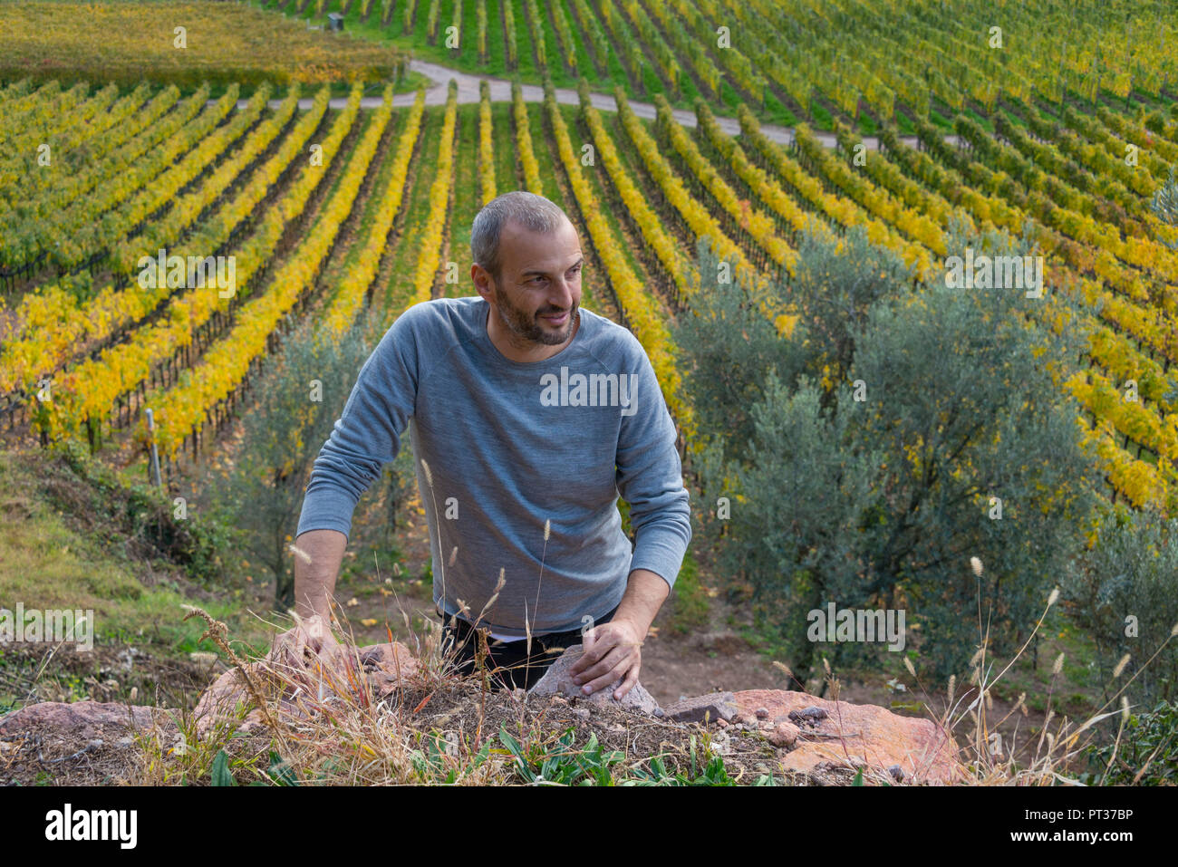 Brigl hi-res stock photography and images - Alamy