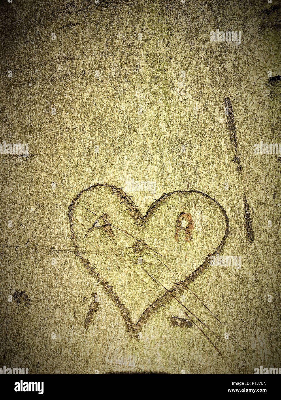 Carved initial letters in hi-res stock photography and images - Alamy