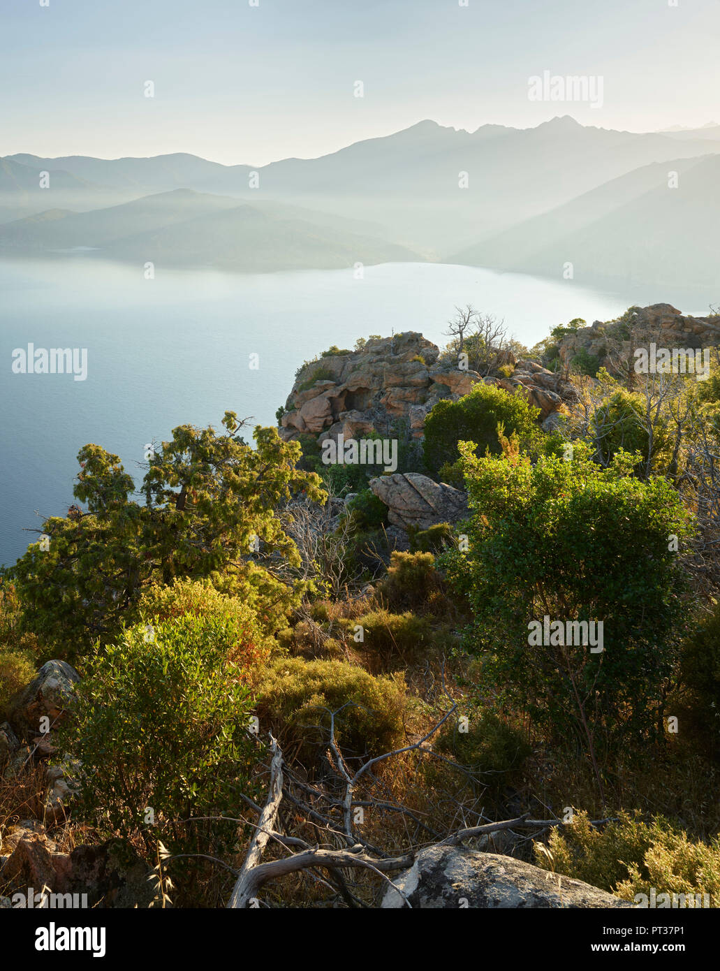 Calanques de Piana, Golfe de Porto, Corsica, France Stock Photo - Alamy