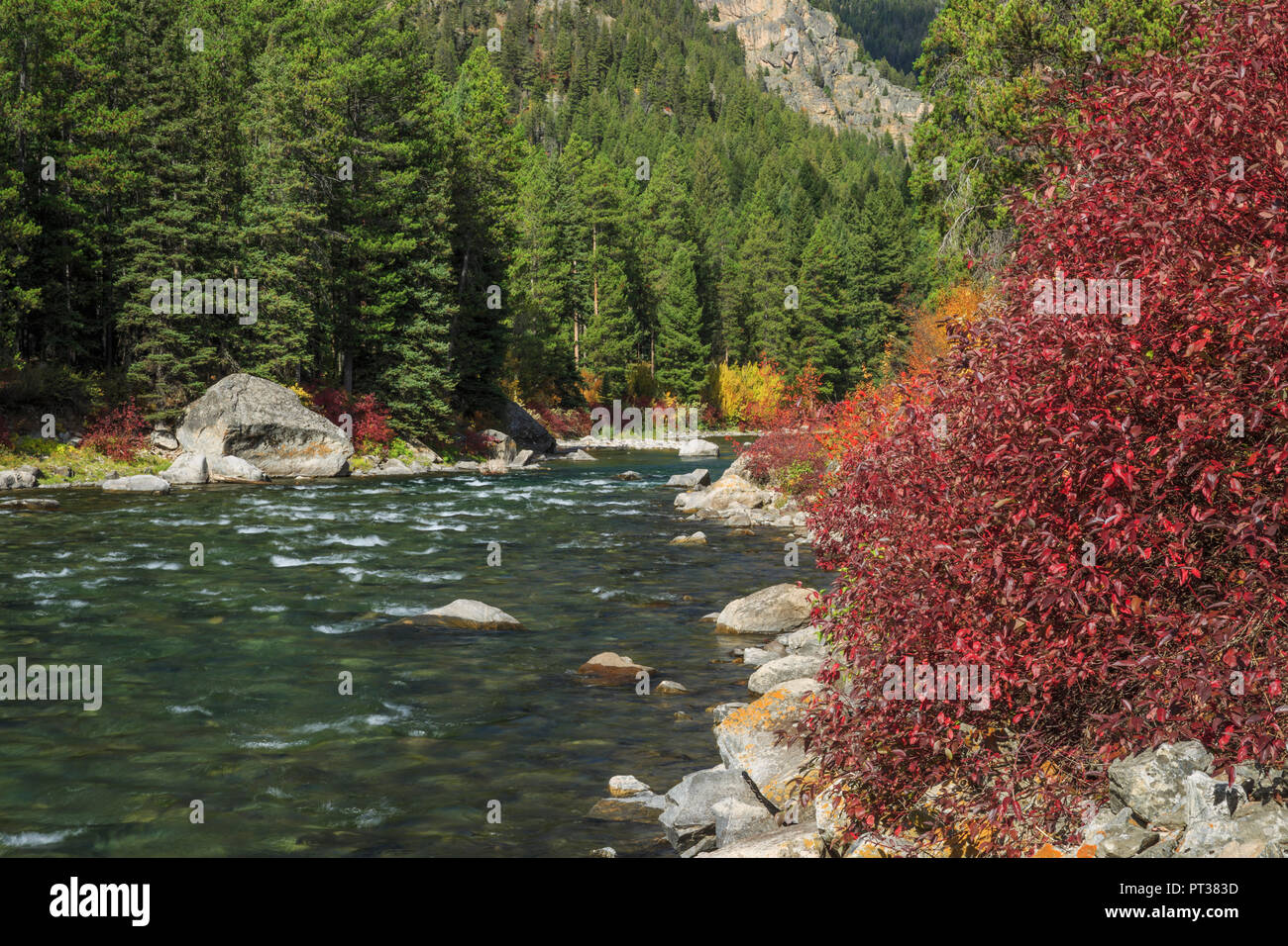 Mt d6853 hi-res stock photography and images - Alamy