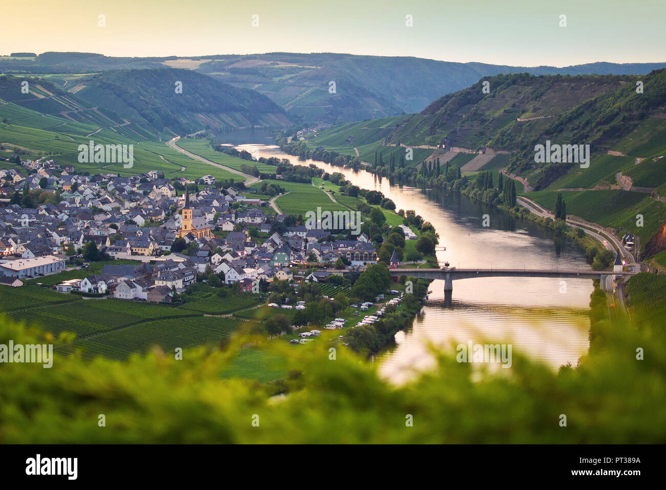 The Moselle loop at Trittenheim overlooking the vineyards Stock Photo ...