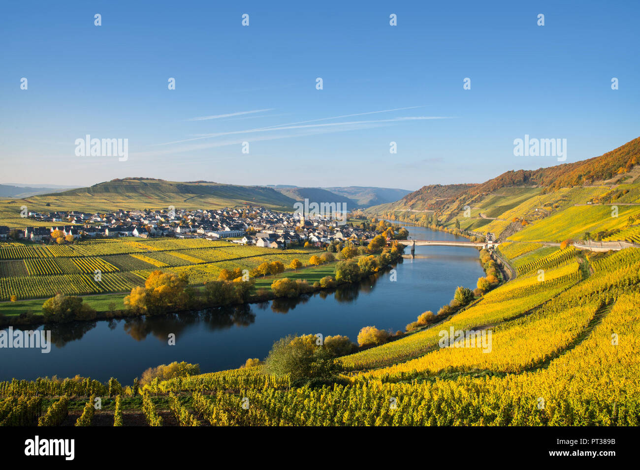 Trittenheim hi-res stock photography and images - Alamy