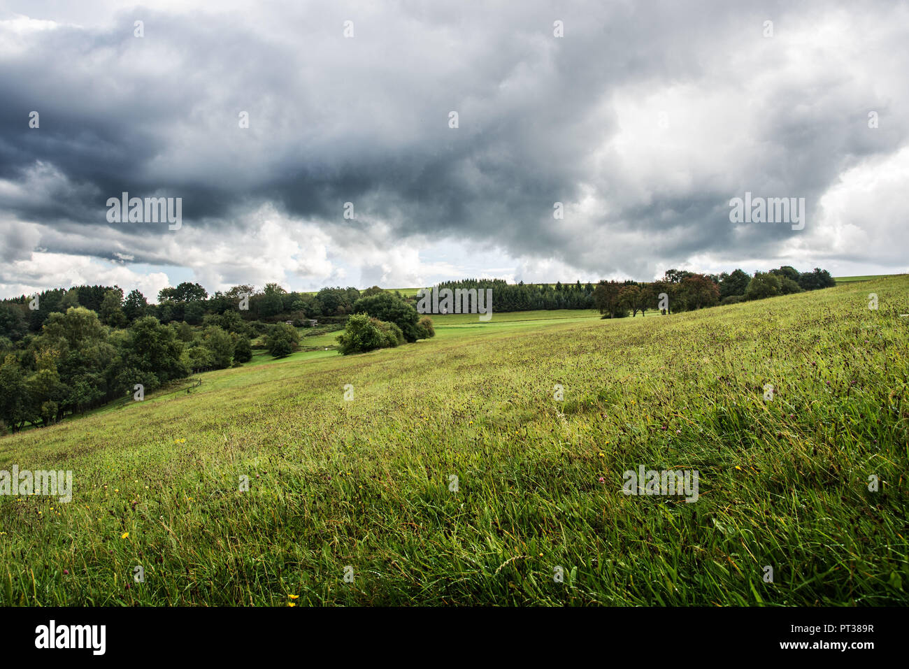 German summer landscape in the Hunsrück at cloudy sky Stock Photo - Alamy