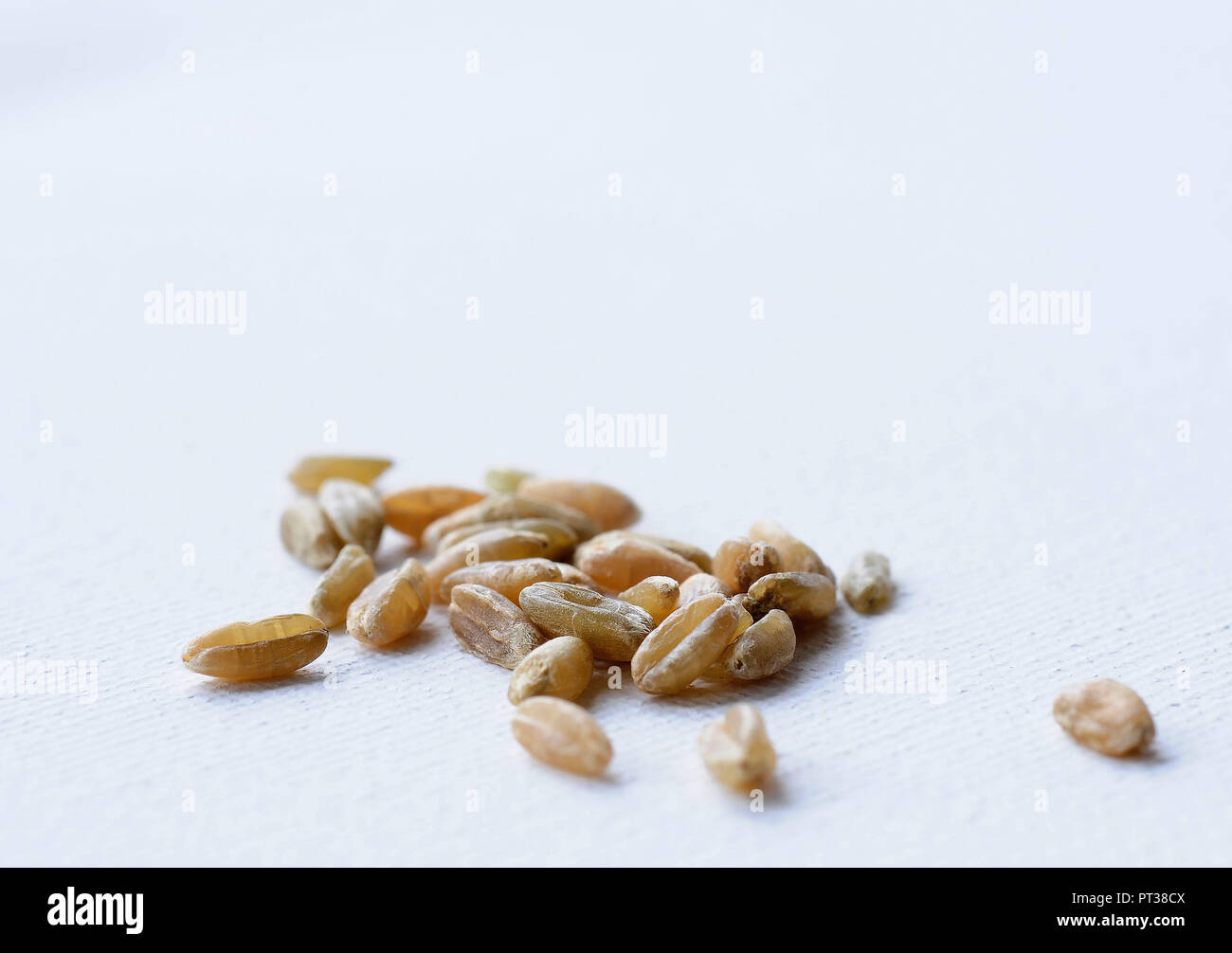 Green spelt hi-res stock photography and images - Alamy