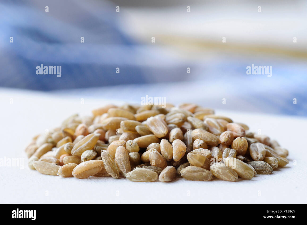 Green spelt hi-res stock photography and images - Alamy