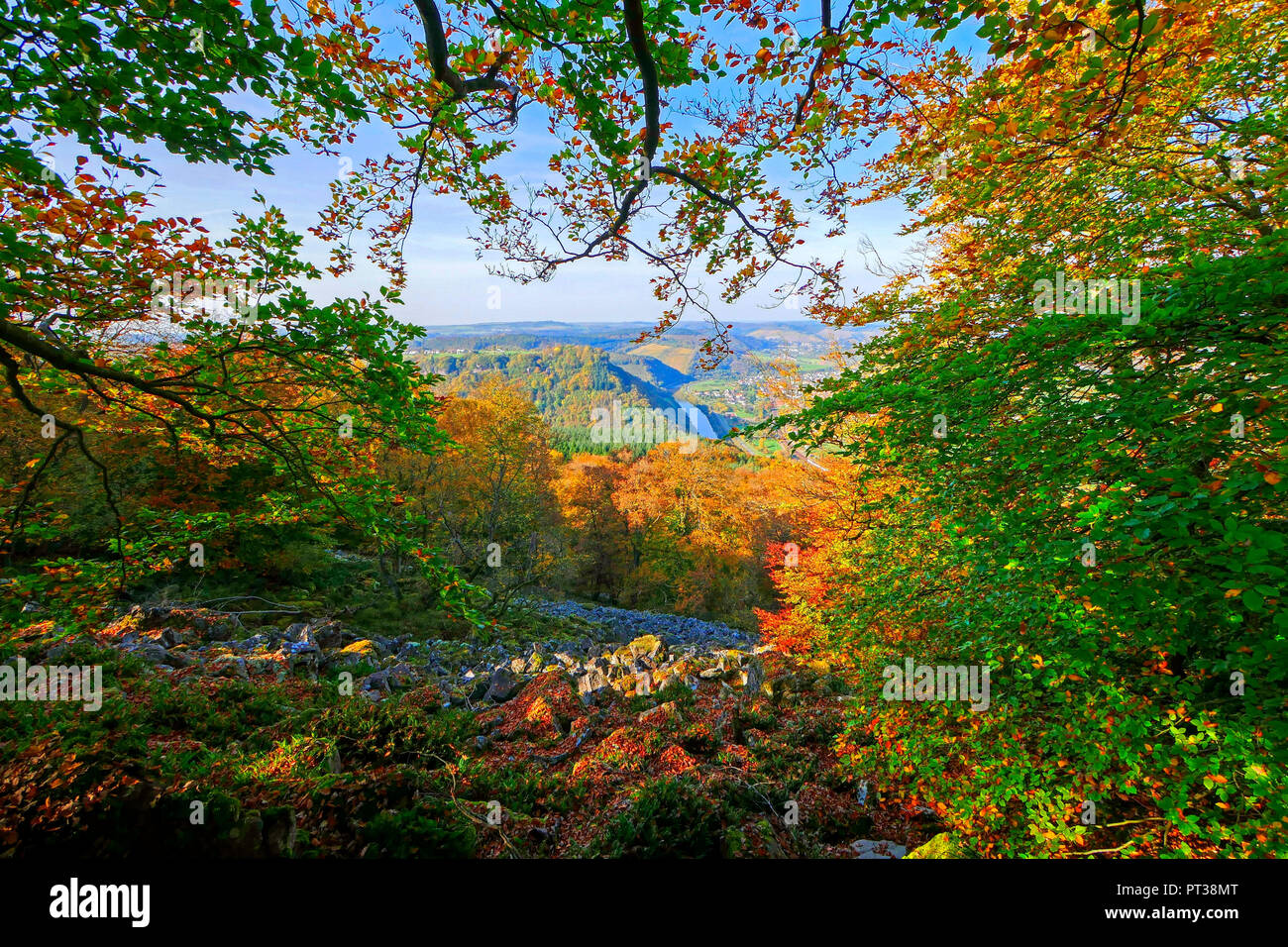 Saartal valley autumn hi-res stock photography and images - Alamy