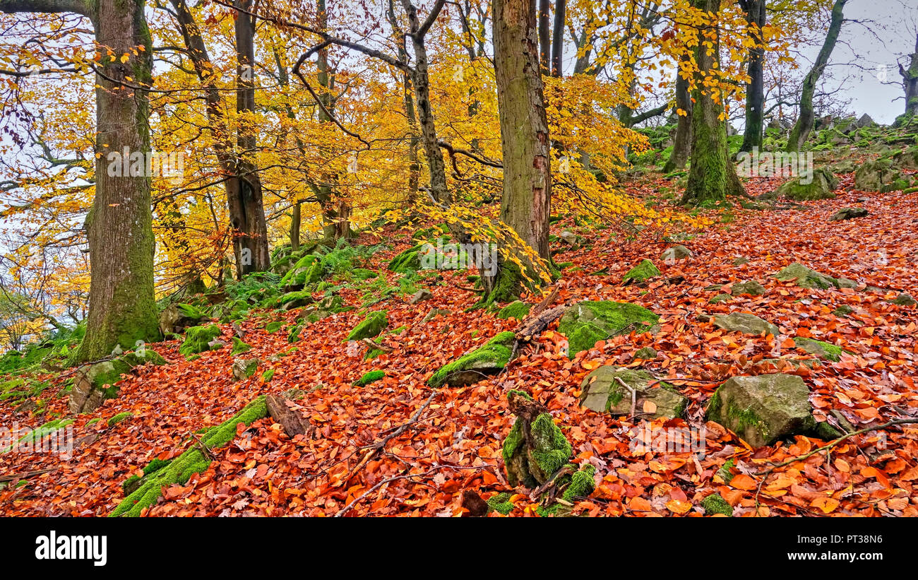 Maunert mountain hi-res stock photography and images - Alamy