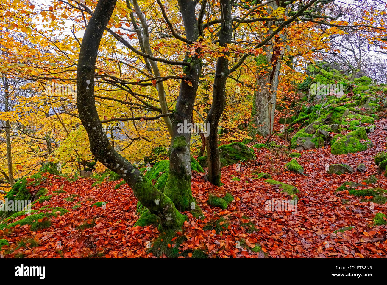 Maunert mountain hi-res stock photography and images - Alamy