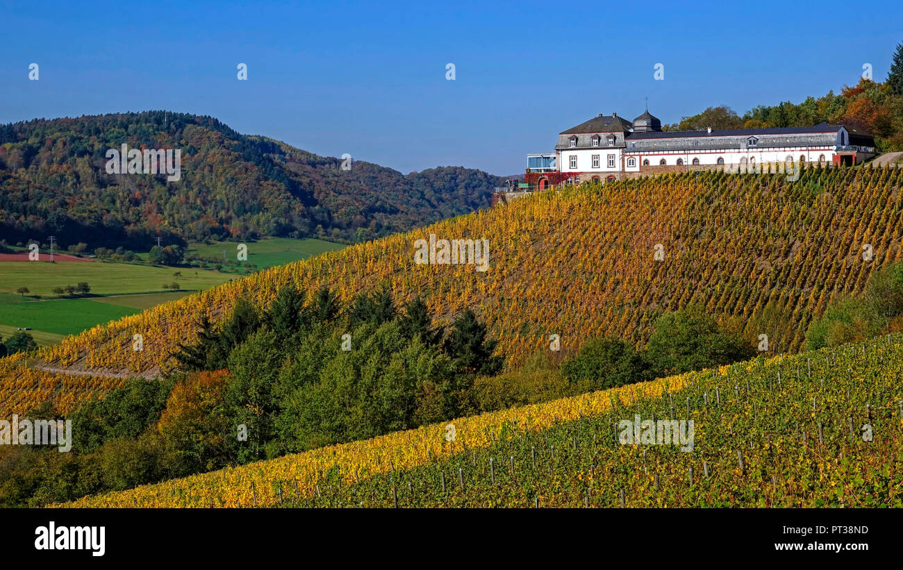 Germany rhineland palatinate saar castle serrig hi-res stock ...