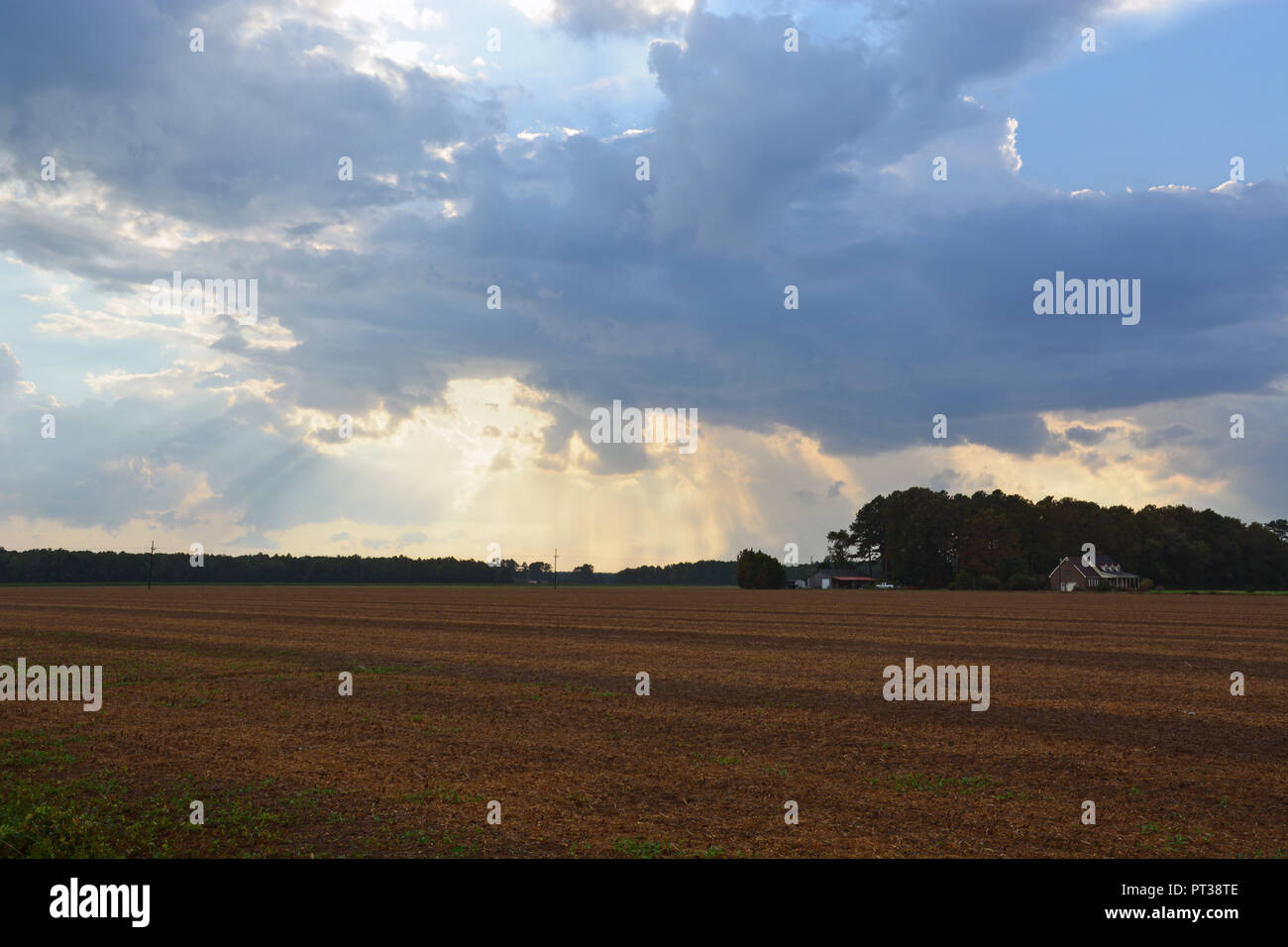 Farm fields in eastern North Carolina during a fall rain storm Stock ...