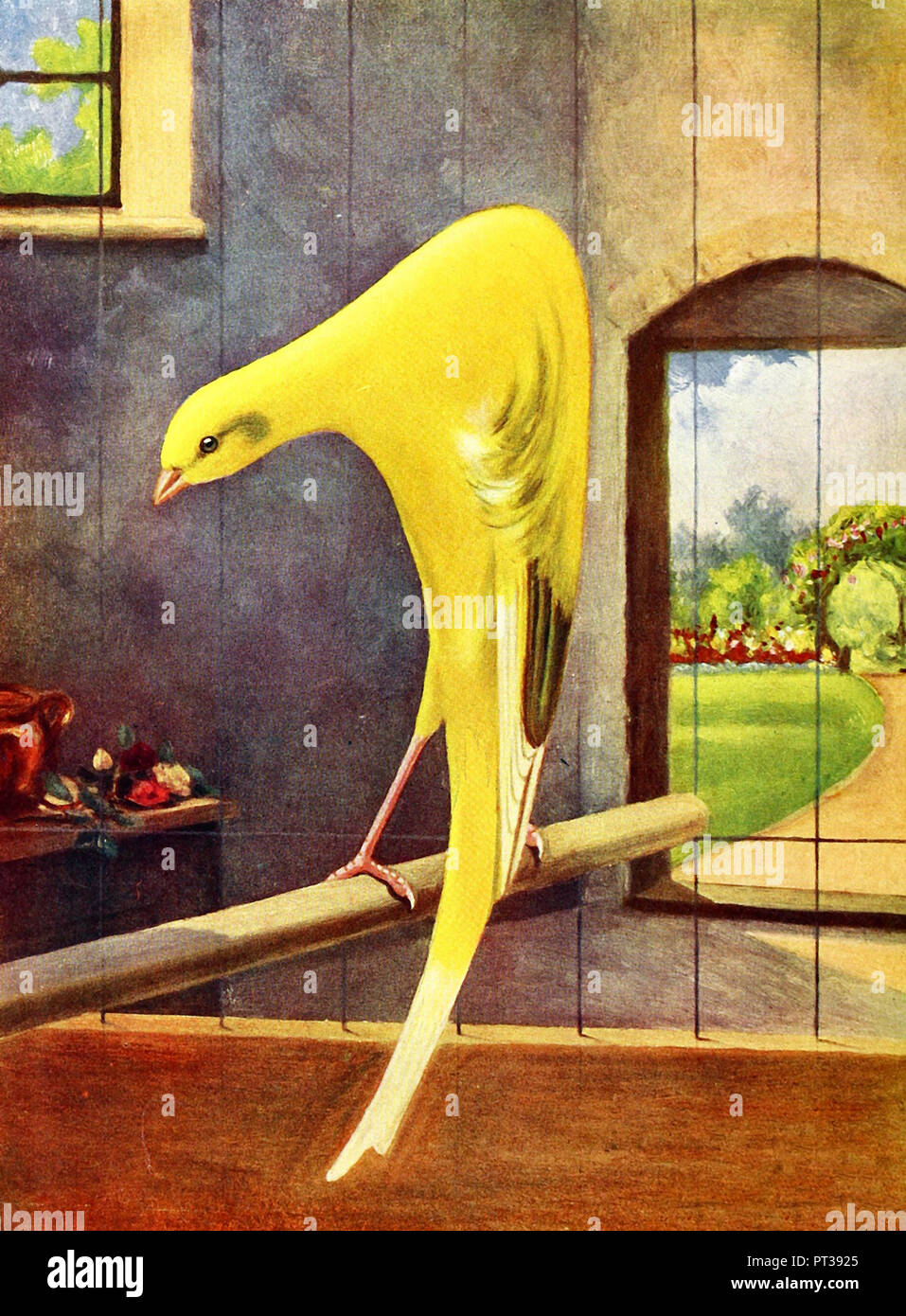 Marked hi-res stock photography and images - Alamy