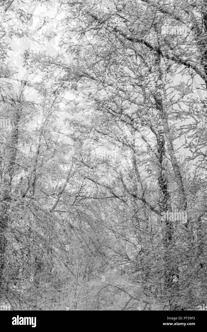 Grey winter day Black and White Stock Photos & Images - Alamy
