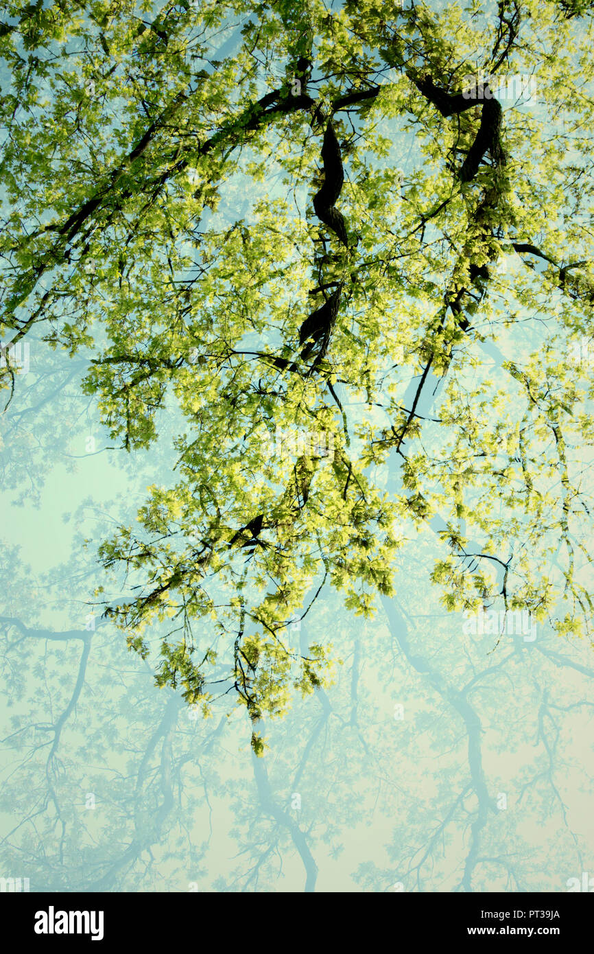 Digitally Manipulated Stock Photos & Digitally Manipulated Stock Images ...