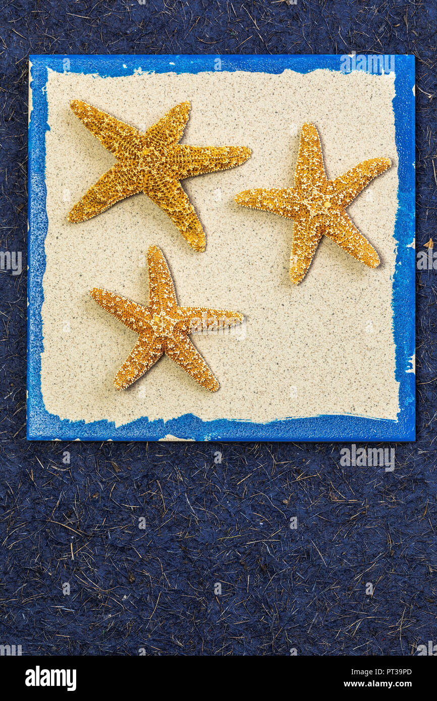 Maritime table decoration, flotsam, starfish Stock Photo - Alamy