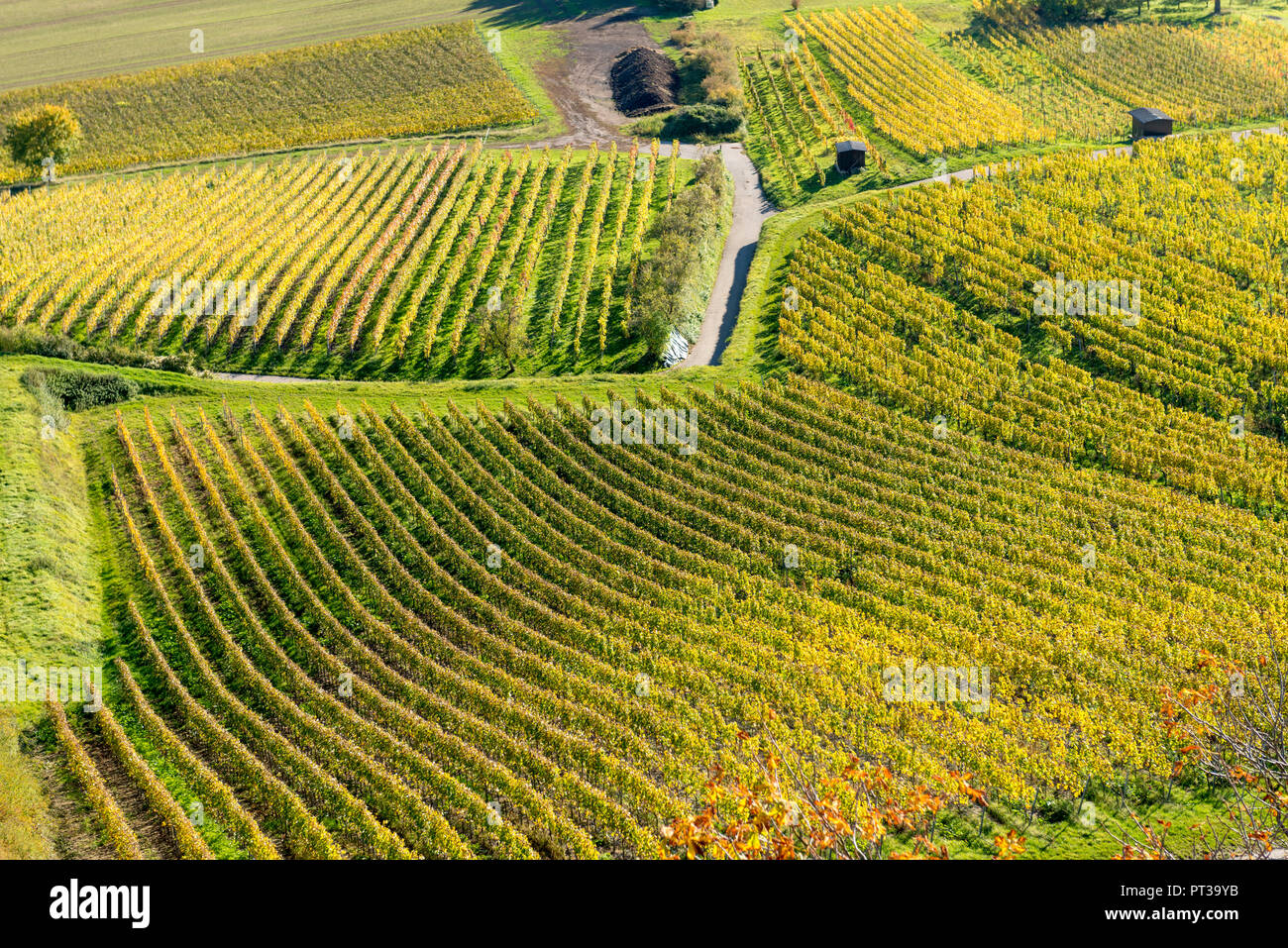 Ravensburg castle ruins hi-res stock photography and images - Alamy