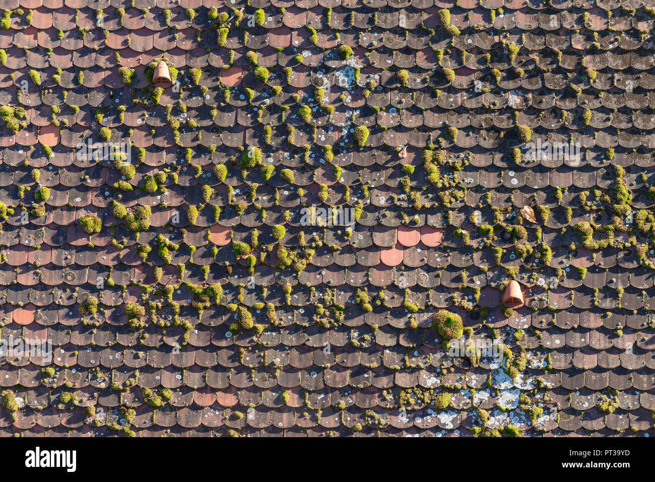 Germany, Baden-Württemberg, Kraichgau, Sulzfeld, view from the tower of ...