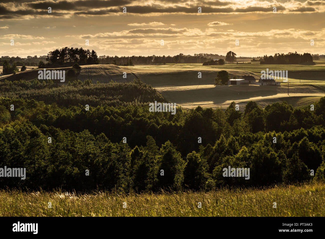 Kujawy kuyavia fieds hi-res stock photography and images - Alamy