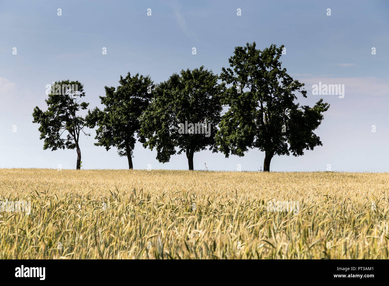 Kujawy kuyavia fieds hi-res stock photography and images - Alamy