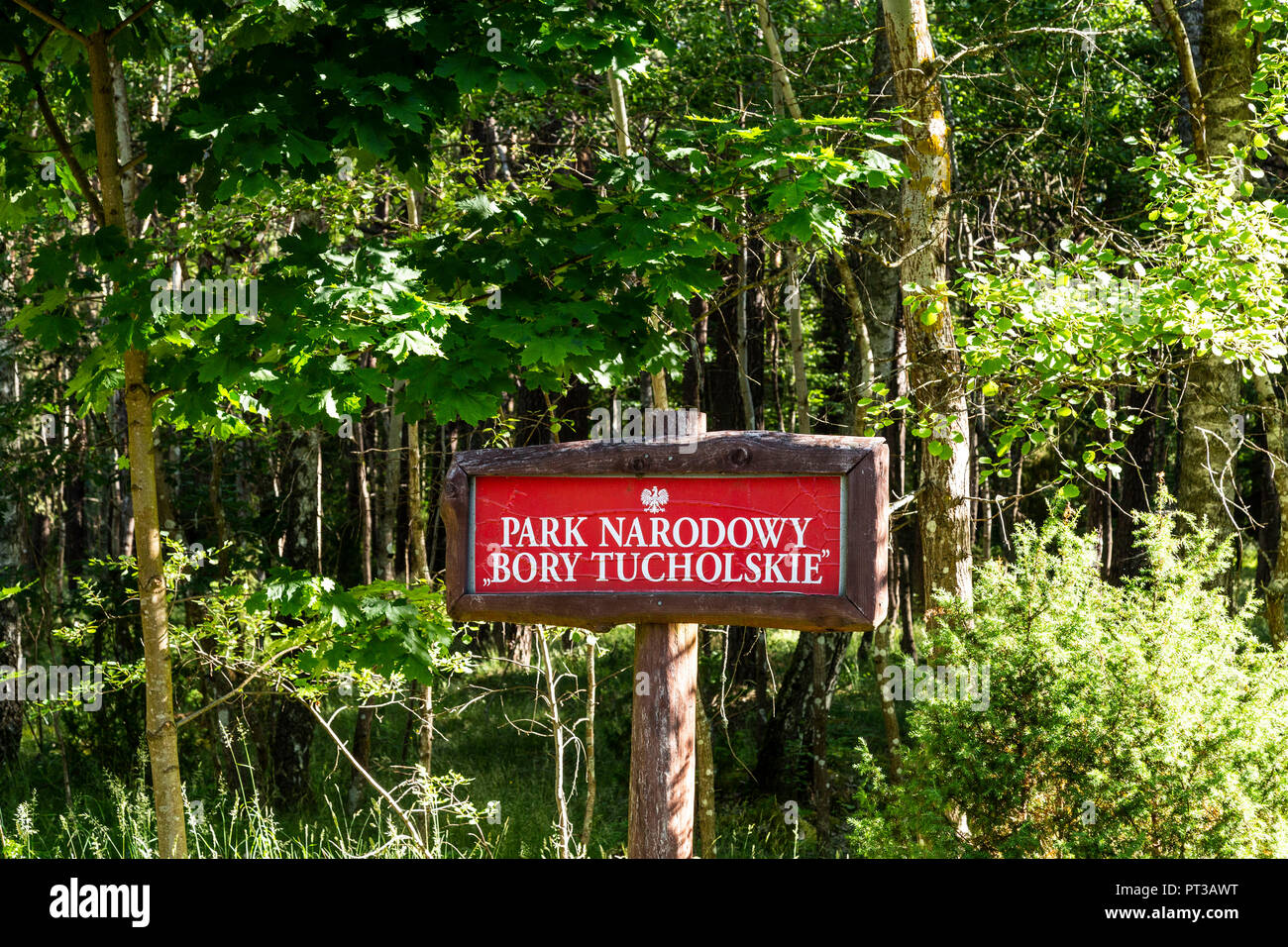 Tuchola forest national park hi-res stock photography and images - Alamy