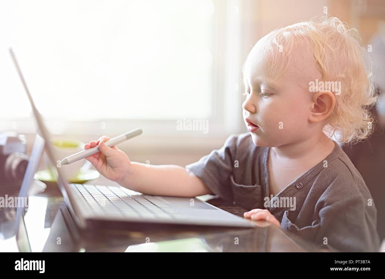 Baby playing with laptop computer Stock Photo - Alamy