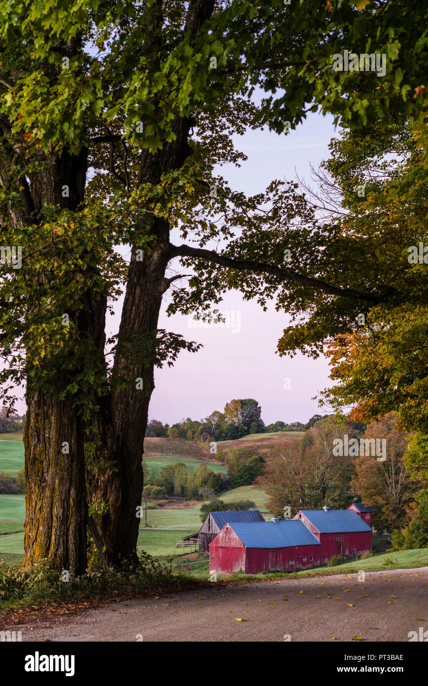 Jenne farm hi-res stock photography and images - Alamy