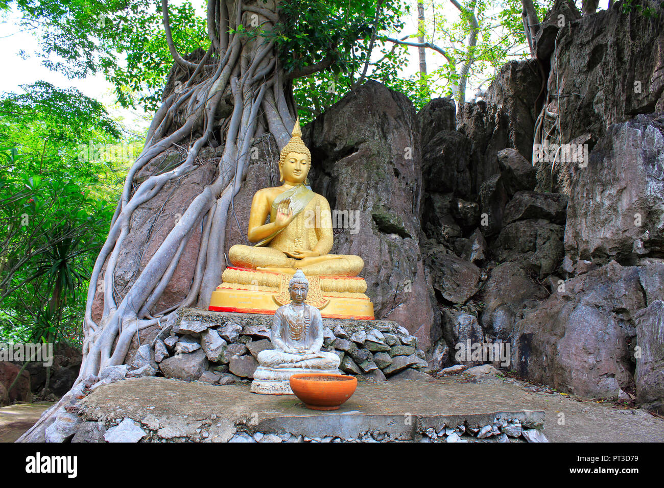 Golden sitting Buddha under a tree with old roots and rocks around at ...