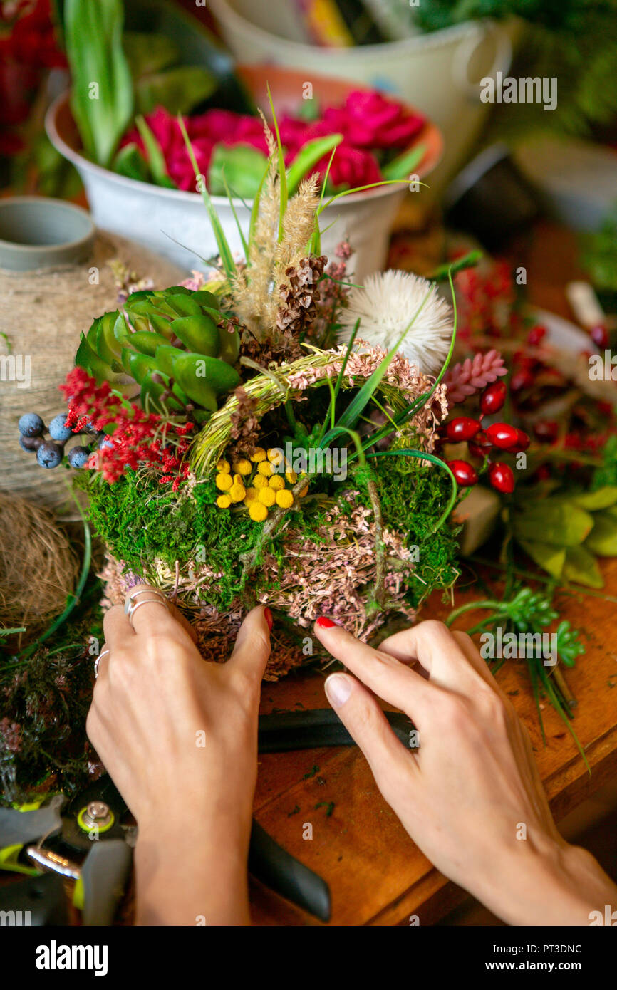 Female hands blooming plant hi-res stock photography and images - Alamy