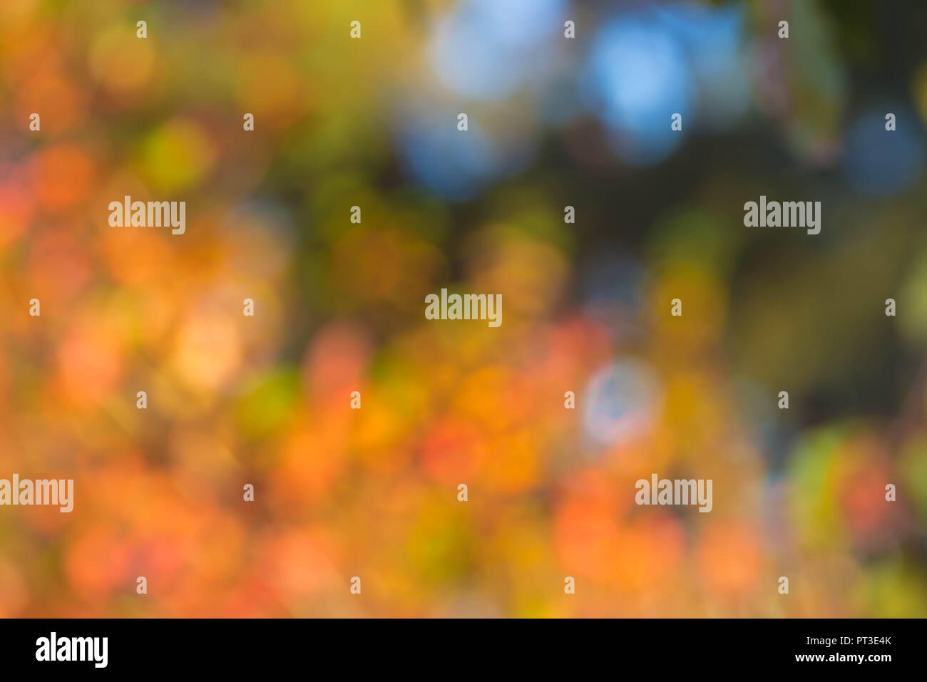 Backdrop of blurred scenery hi-res stock photography and images - Alamy