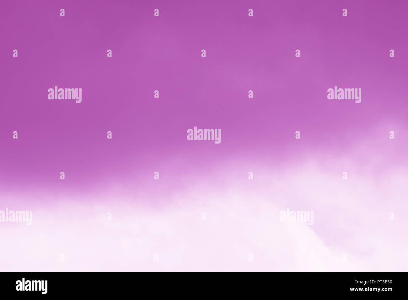 Blur gradient pink and purple color. Solf and blurred background on the ...