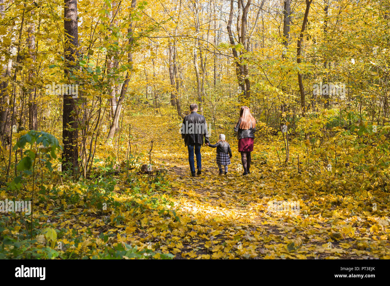 Fall, nature and family concept - family walking in autumn park, back ...