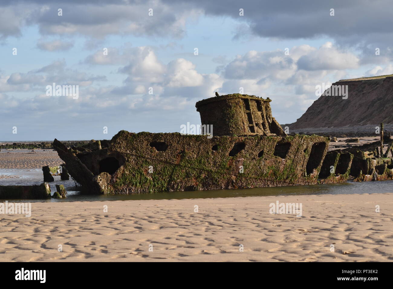 Tynwald arboretum hi-res stock photography and images - Alamy