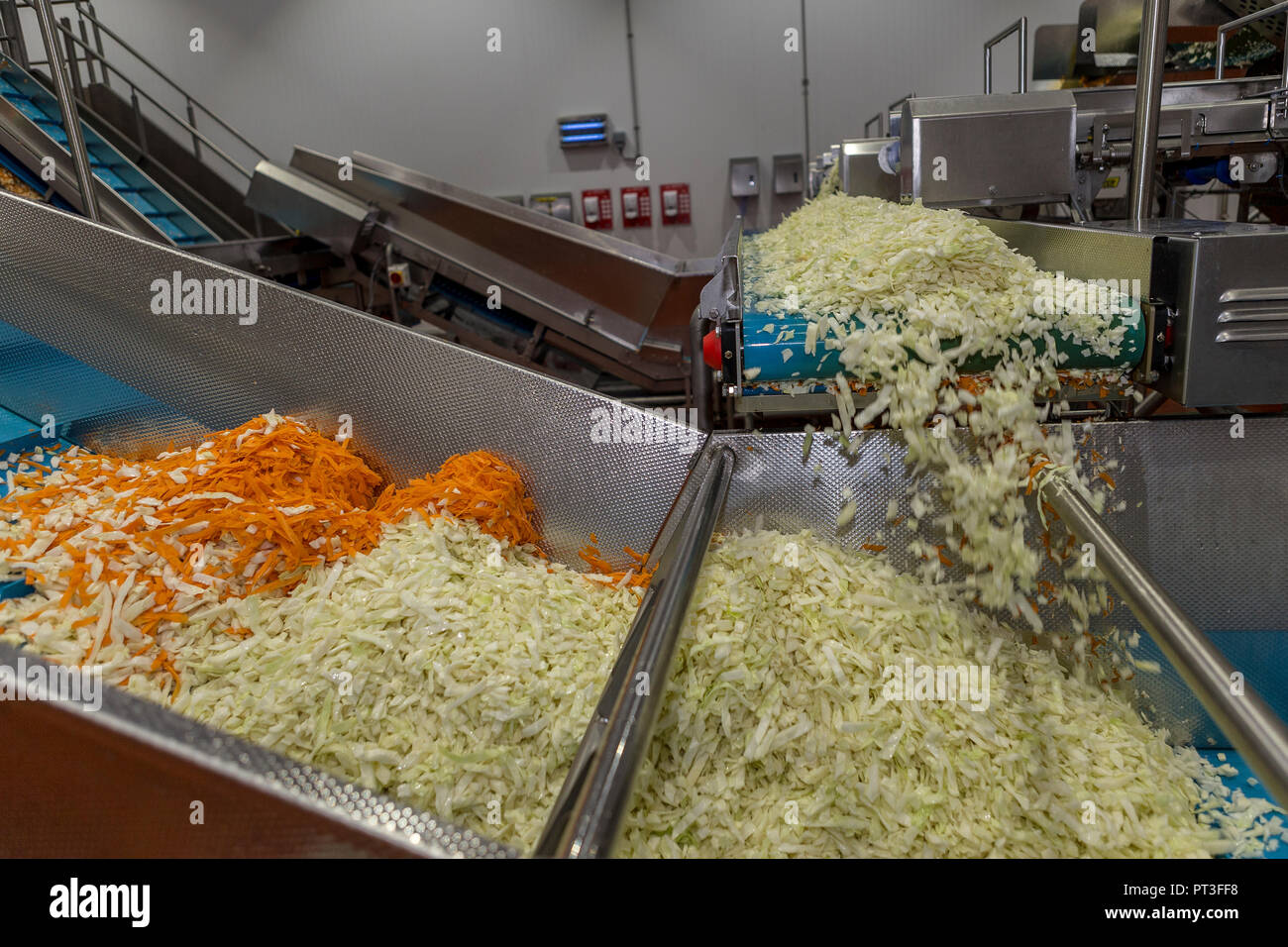 Food Production of Prepared Salads and Convenience Food in the UK Stock ...