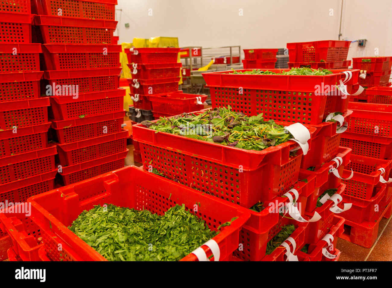 Food Production and Preparation Images UK Farming Stock Photo - Alamy